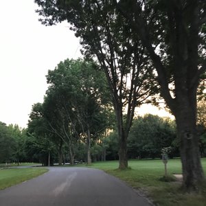 WINGFOOT LAKE STATE PARK - 31 Photos & 12 Reviews - 993 Goodyear Park ...