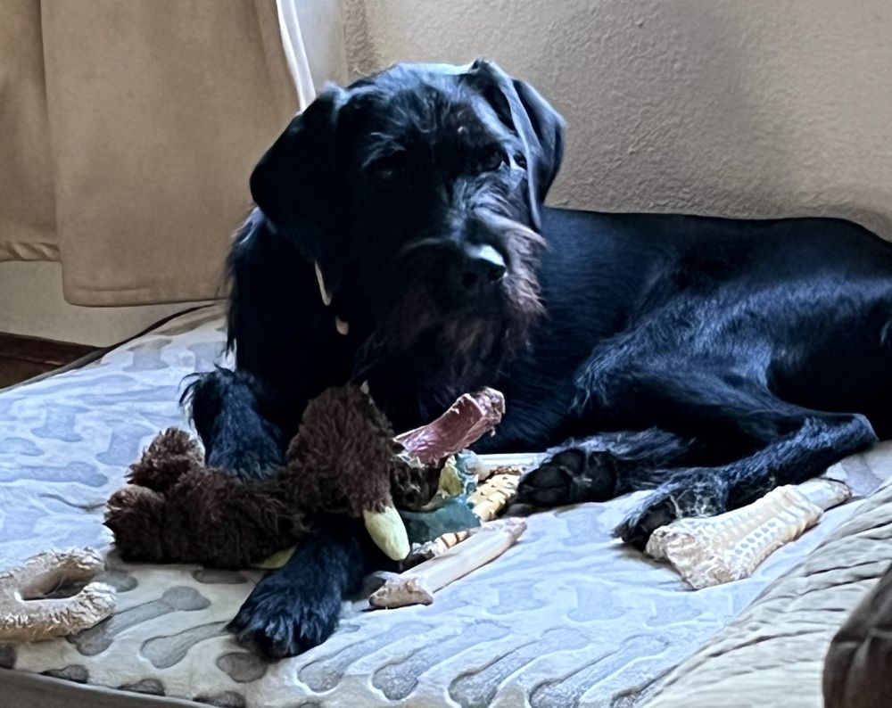 PENDLETON VETERINARY CLINIC - Updated June 2025 - 16 Photos - 625 SW ...