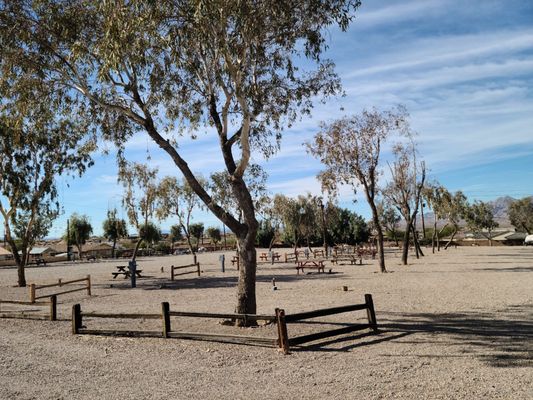 LAKE HAVASU RV RESORT & CAMPGROUND - Updated December 2025 - 14 Photos ...