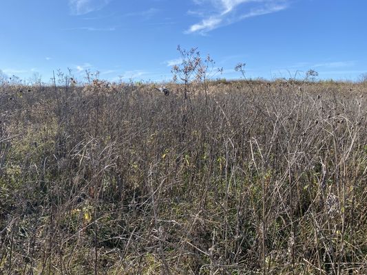 HISLE FARM PARK - Updated September 2025 - 21 Photos - 3551 Briar Hill ...