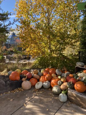 THE ARBORETUM AT PENN STATE - Updated October 2025 - 192 Photos & 23 ...