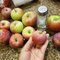 RILEY’S APPLE FARM - Updated January 2026 - 343 Photos & 198 Reviews ...