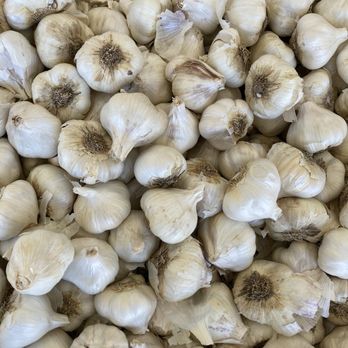 GARLIC WORLD - Updated December 2025 - 725 Photos & 238 Reviews - 4800 ...