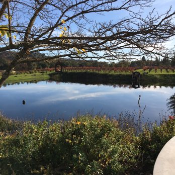 TESTA VINEYARDS - Updated December 2025 - 113 Photos & 49 Reviews ...