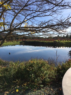 TESTA VINEYARDS - Updated August 2025 - 113 Photos & 49 Reviews - 6400 ...