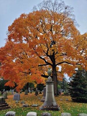 SWAN POINT CEMETERY - Updated October 2025 - 75 Photos & 34 Reviews ...