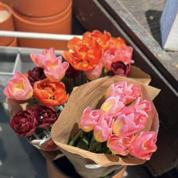 FRANKLIN SQUARE MARKET - Updated July 2025 - 74 Photos & 22 Reviews ...