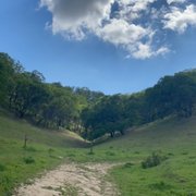 DIABLO FOOTHILLS REGIONAL PARK - 237 Photos & 44 Reviews - 1700 Castle ...