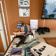 PUGET SOUND EXPRESS - 90 Photos & 35 Reviews - Whale Watching Tours ...