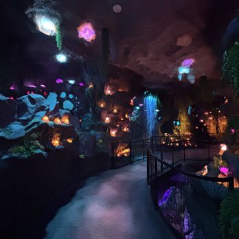 DREAMWALK PARK - Updated August 2025 - 124 Photos & 15 Reviews - 575 E ...