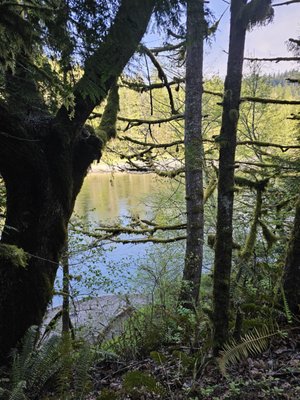 OXBOW REGIONAL PARK - Updated September 2024 - 65 Photos & 45 Reviews ...