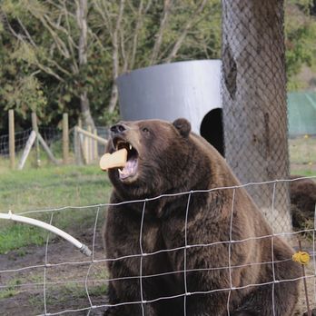 OLYMPIC GAME FARM - 721 Photos & 348 Reviews - 1423 Ward Rd, Sequim ...