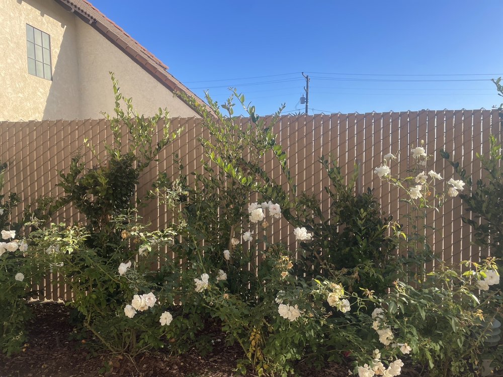 OCEAN RIDGE POST ACUTE - Updated September 2025 - 3850 East Esther St ...