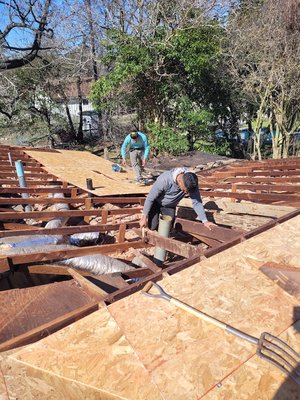 TRACE ROOFING & CONSTRUCTION - Updated May 2026 - 50 Photos - 3663 N ...