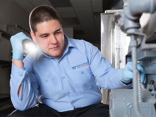 WALTHAM PEST SERVICES - Updated October 2025 - 17 Photos & 15 Reviews ...