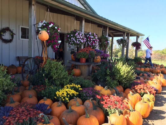 MAPLE LEAF ORCHARD - Updated October 2025 - 12 Photos - W3901 750th Ave ...