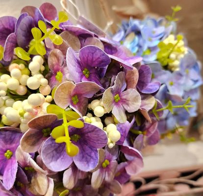 EVIS DESIGN - Updated August 2025 - 73 Photos & 37 Reviews - 1950 W ...