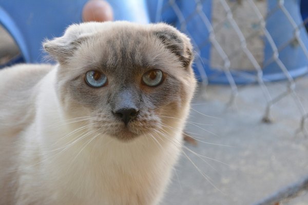 RIVERSIDE ANIMAL HOSPITAL - Updated December 2025 - 236 Photos & 316 ...