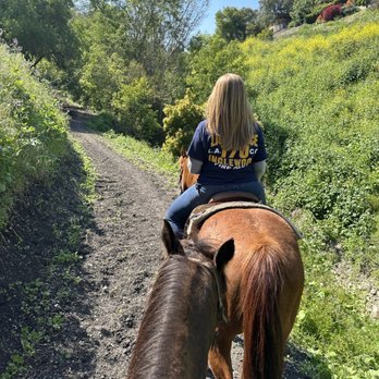 PALOS VERDES HORSE RENTALS - Updated December 2025 - 221 Photos & 164 ...