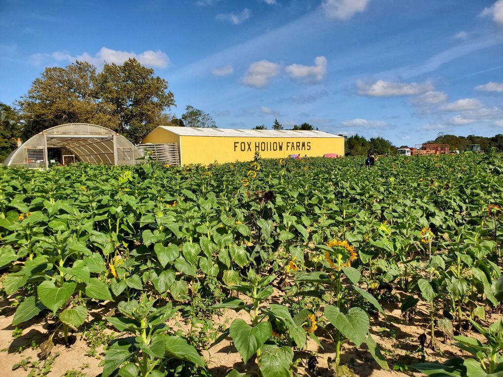 ROTTKAMP’S FOX HOLLOW FARM STAND - Updated September 2024 - 49 Photos ...