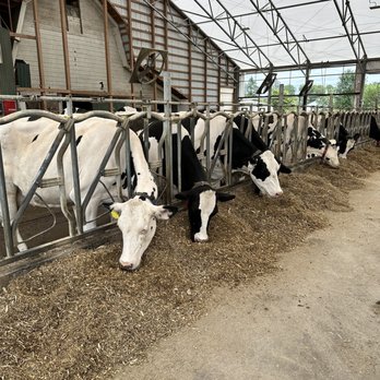 COOK’S FARM DAIRY - Updated August 2024 - 92 Photos & 156 Reviews ...