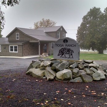 TIOGA BOAR HUNTING - Updated January 2026 - 38 Photos - 1552 Mann Hill ...