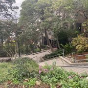 INA COOLBRITH PARK - 330 Photos & 85 Reviews - Taylor & Vallejo Streets ...