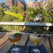 DARLING AVIARY - 367 Photos & 250 Reviews - 712 K St, Sacramento, CA - Yelp