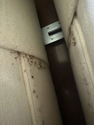 ACTIVE PEST CONTROL - Updated December 2025 - 21 Photos & 57 Reviews ...