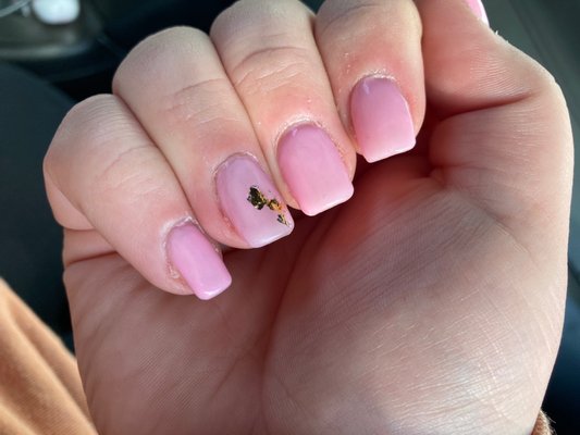 NC NAILS - Updated June 2024 - 61 Photos & 72 Reviews - 461 Western ...