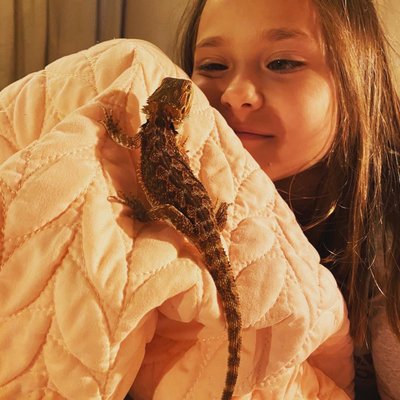 PREDATOR’S REPTILE CENTER - Updated October 2024 - 71 Photos & 126 ...