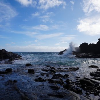 COCKROACH COVE - Updated October 2025 - 93 Photos & 26 Reviews - 8450 ...