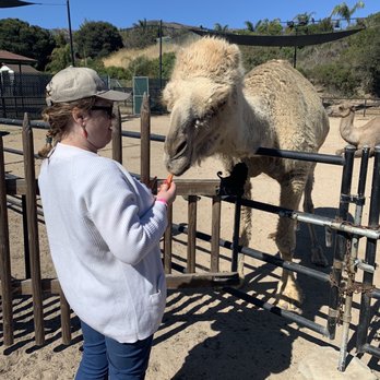 VISION QUEST RANCH - Updated January 2025 - 822 Photos & 316 Reviews ...