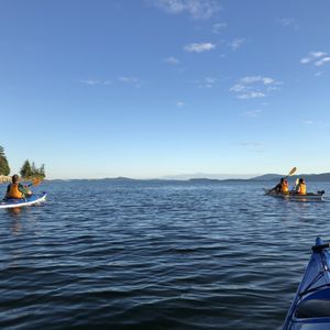 TRIAD RIVER TOURS - Updated May 2024 - 48 Photos & 84 Reviews - 336 ...