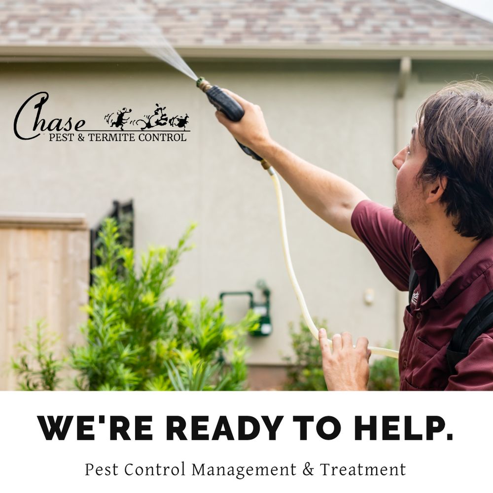 CHASE PEST CONTROL - Updated December 2025 - 52 Photos - 3513 N Loop ...