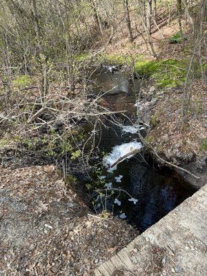 MASSASOIT STATE PARK - Updated December 2025 - 38 Photos & 22 Reviews ...