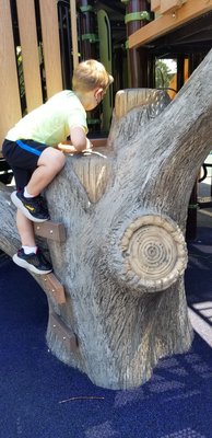SASSAFRAS ALL CHILDREN’S PLAYGROUND - Updated March 2025 - 11 Photos ...