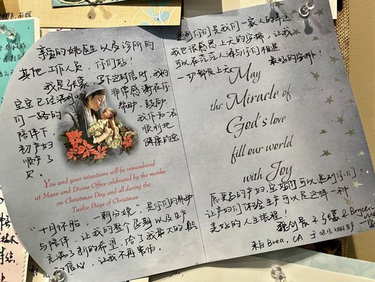 GRACE YAO, MD, PHD - Updated July 2025 - 29 Photos & 28 Reviews - 15785 ...