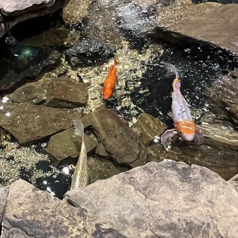 FUJI JAPANESE SEAFOOD & STEAKHOUSE - Updated December 2025 - 32 Photos ...