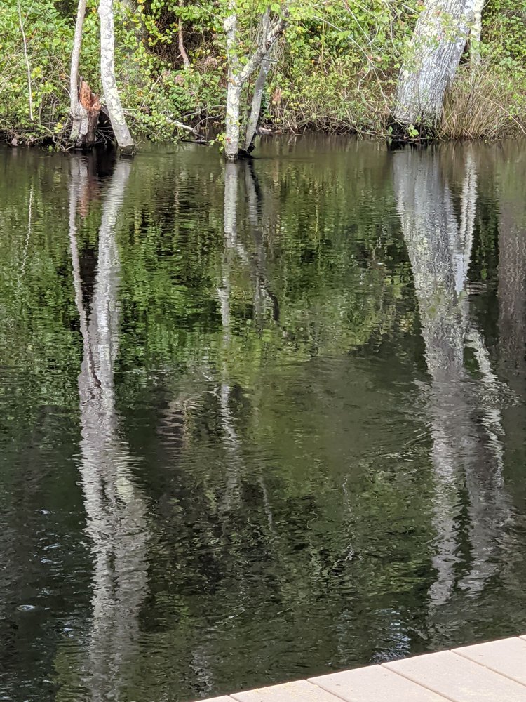 WINDING RIVER CAMPGROUND - Updated November 2024 - 30 Photos & 41 ...