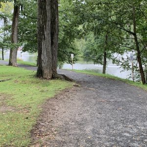 COOK PARK - Updated July 2025 - Shambrook Pkwy, Colonie, New York ...