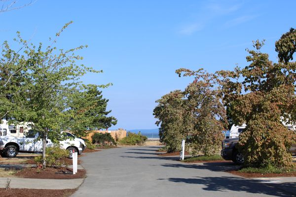 PARK SANDS BEACH RESORT - Updated July 2024 - 40 Photos - 105 Island ...