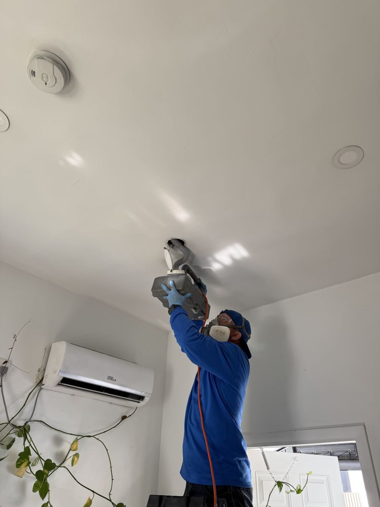 PARAMOUNT PEST CONTROL - Updated July 2025 - 3104 SW 142nd Pl, Miami ...