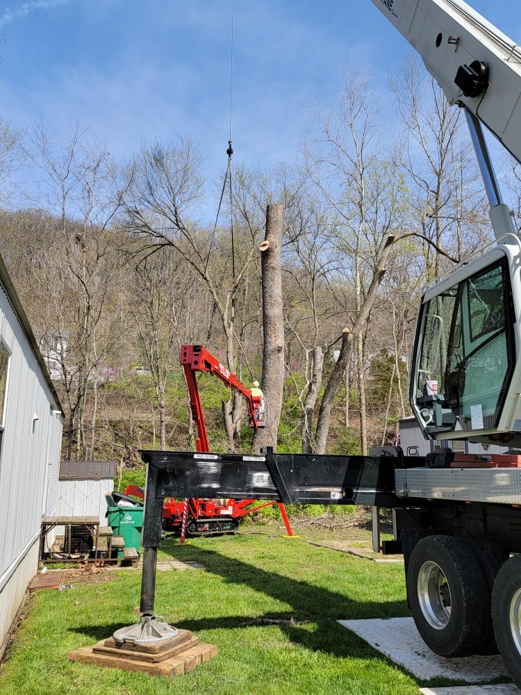 SIMPLY TREES - Updated August 2025 - 40 Photos - Fenton, Missouri ...