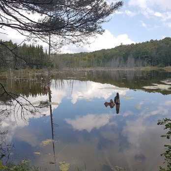 MONO CLIFFS PROVINCIAL PARK - Updated October 2024 - 88 Photos & 10 ...