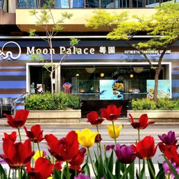 MOON PALACE - Updated January 2026 - 678 Photos & 111 Reviews - 40 ...