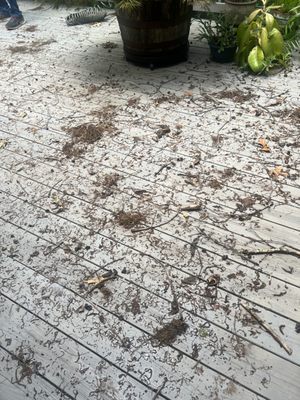 WISEGUYS PRO-WASH - Updated January 2026 - 38 Photos & 39 Real Reviews ...