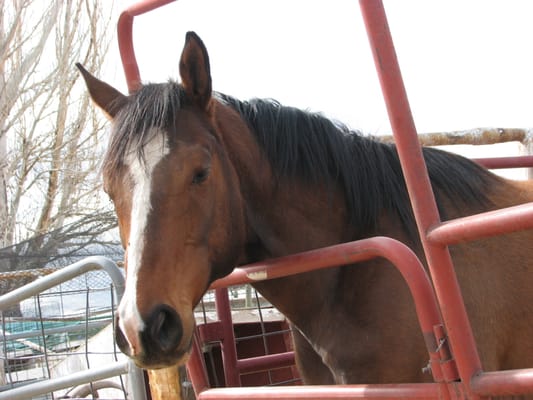 MOON FARM - 28 Photos - 1360 18 1/2 Rd, Fruita, Colorado - Pumpkin ...