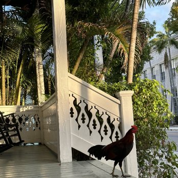 SIMONTON COURT HISTORIC INN & COTTAGES - Updated July 2024 - 156 Photos ...