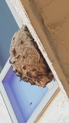 CASCADE PEST CONTROL - Updated January 2026 - 30 Photos & 109 Verified ...